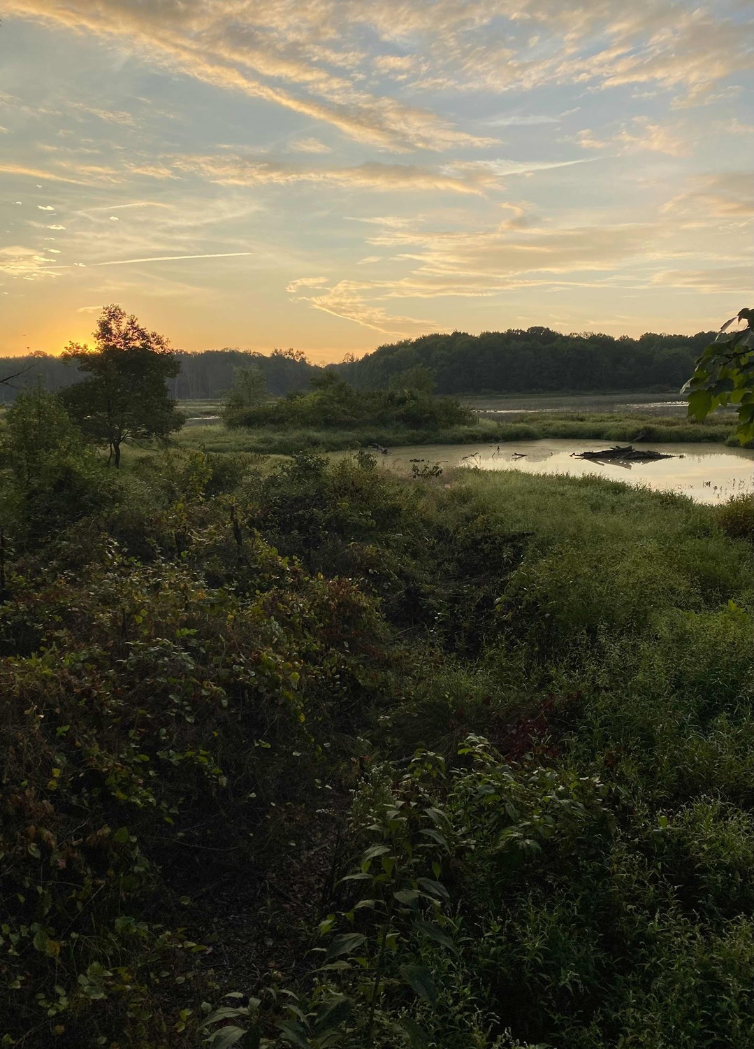 A Spotlight On Alexandria, Virginia, Zip Codes 22309 and 22310 ...