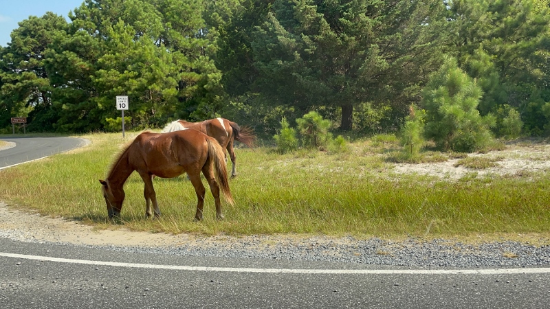 SCSC Wallops Island Housing & Information | MilitaryByOwner